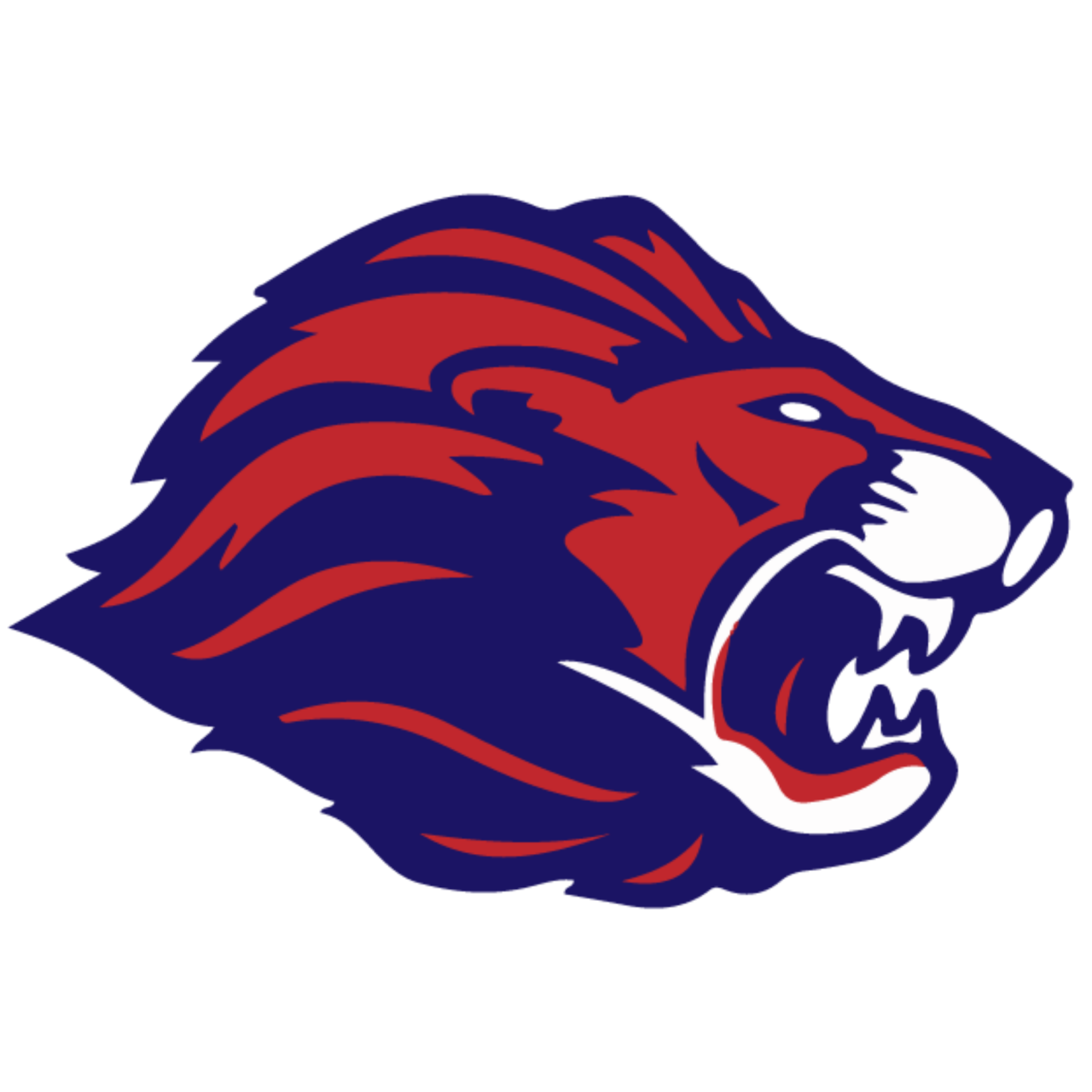 Athletics | Rhodes School for the Performing Arts